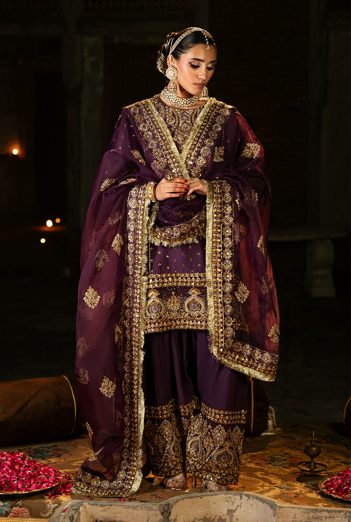 Saad Shaikh - Women Clothing Brand